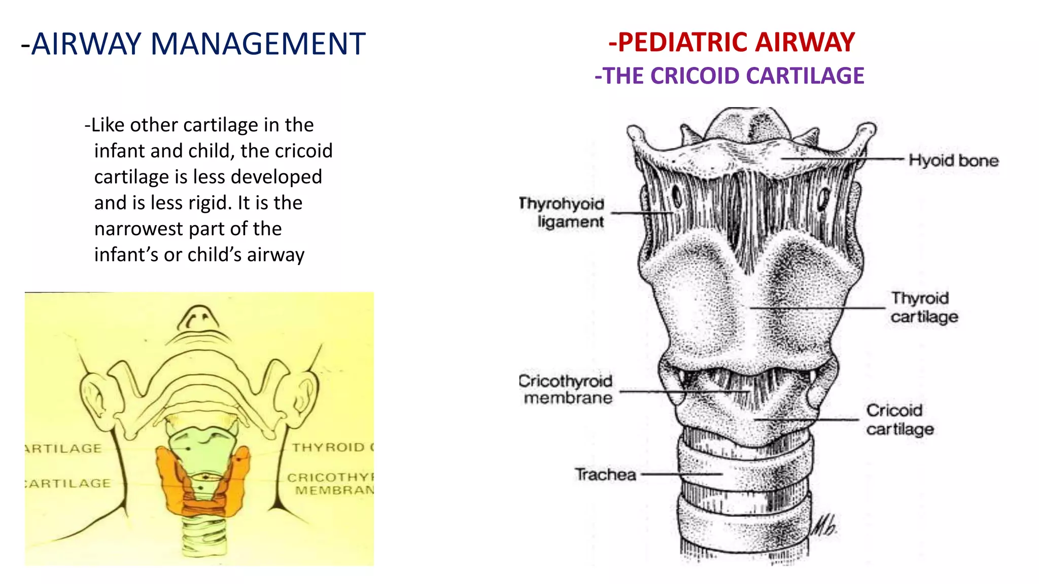 Appropriate airway equipment and techniques. | PPT