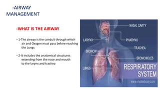 Appropriate airway equipment and techniques. | PPTX