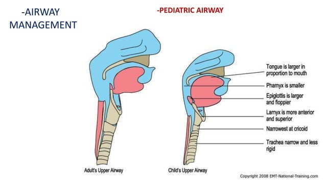 Appropriate airway equipment and techniques. | PPT