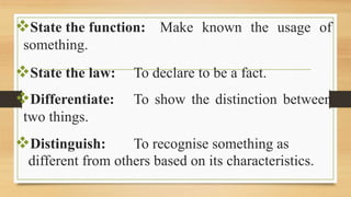 Appropriate use of verbs.pptx