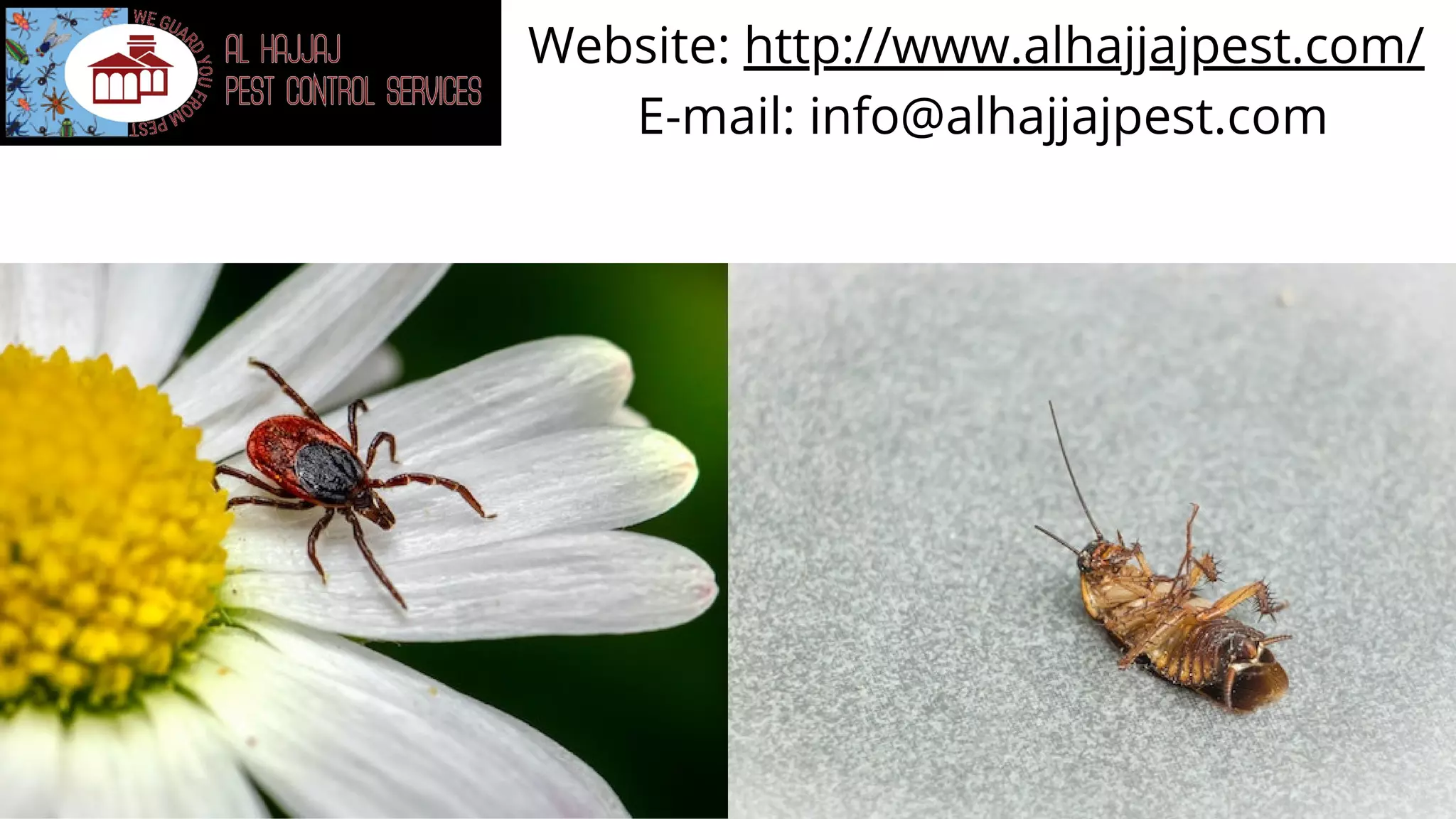 Approved Pest Control.pdf