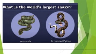 Approximation of Measurement in powerpoint presentation | PPT | Free ...