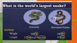 Approximation of Measurement in powerpoint presentation | PPT