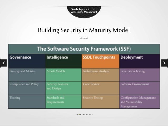 Web Application Security Vulnerability Management Framework