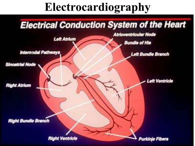 Apps of electrostatistics | PPTX | Physics | Science