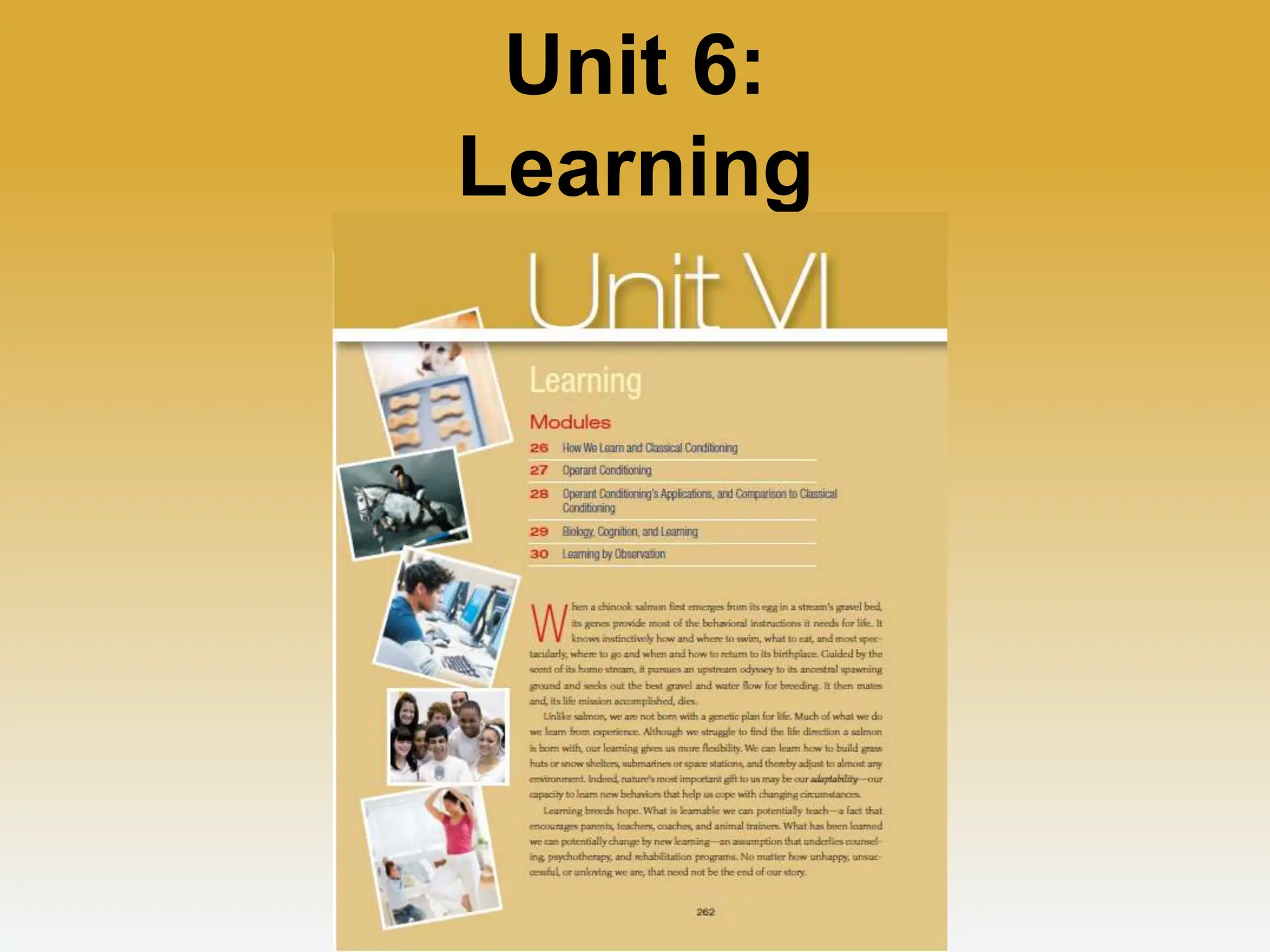 Myers'Psychology for APPsych 2e LecturePPTs Unit06.ppt