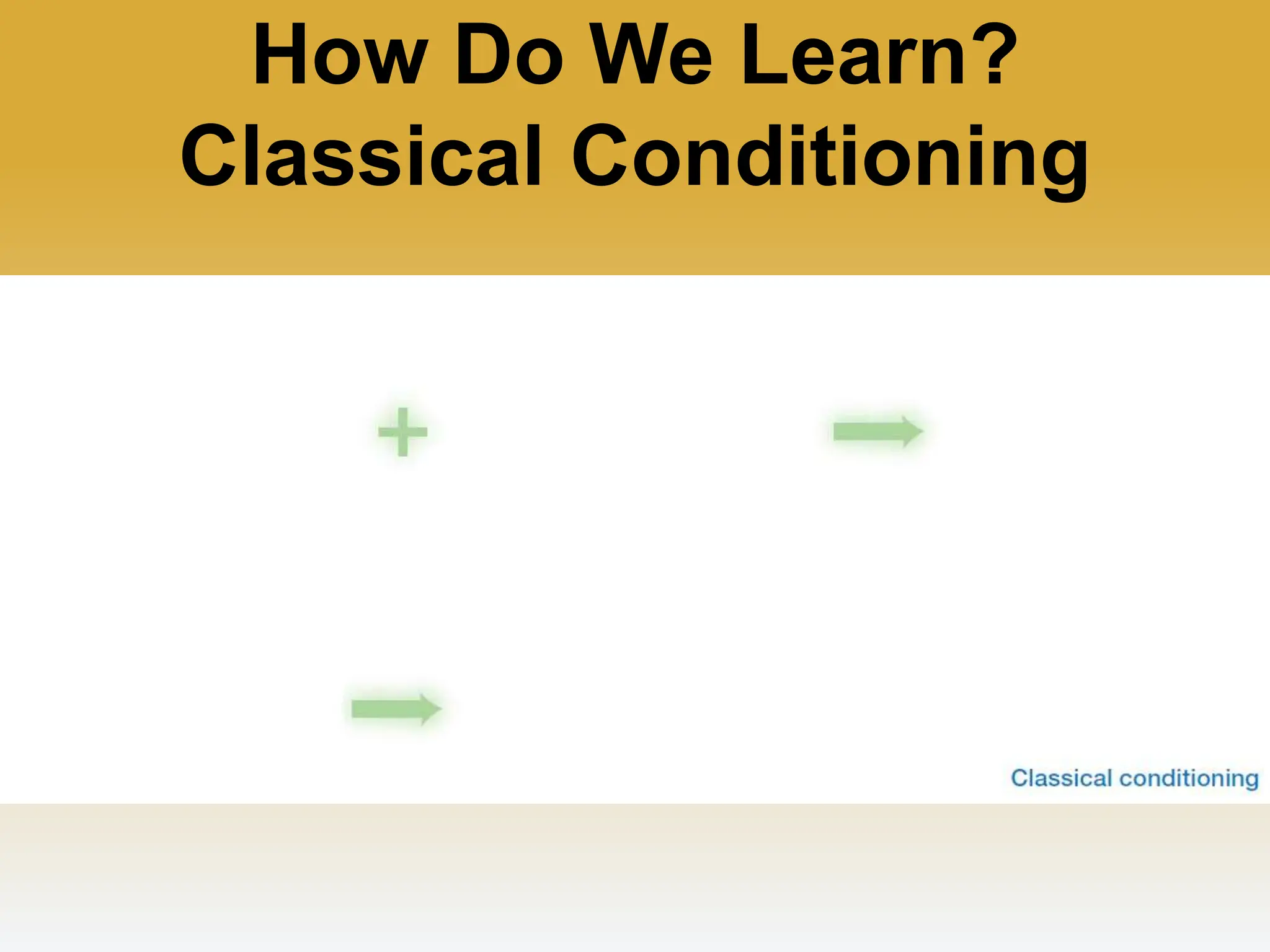 Myers'Psychology for APPsych 2e LecturePPTs Unit06.ppt