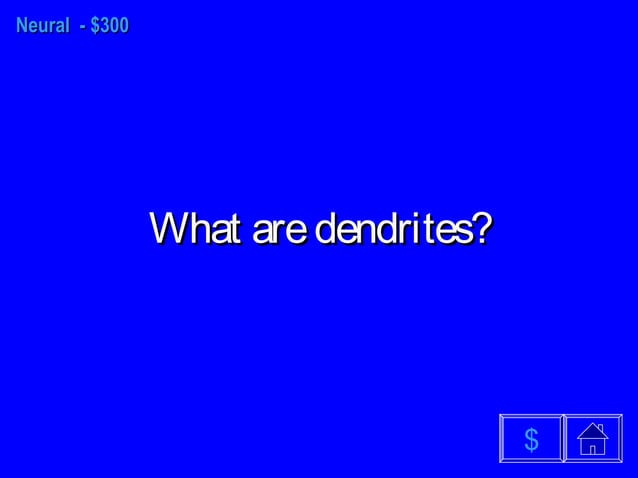 Ap psych ch 2 jeopardy | PPT