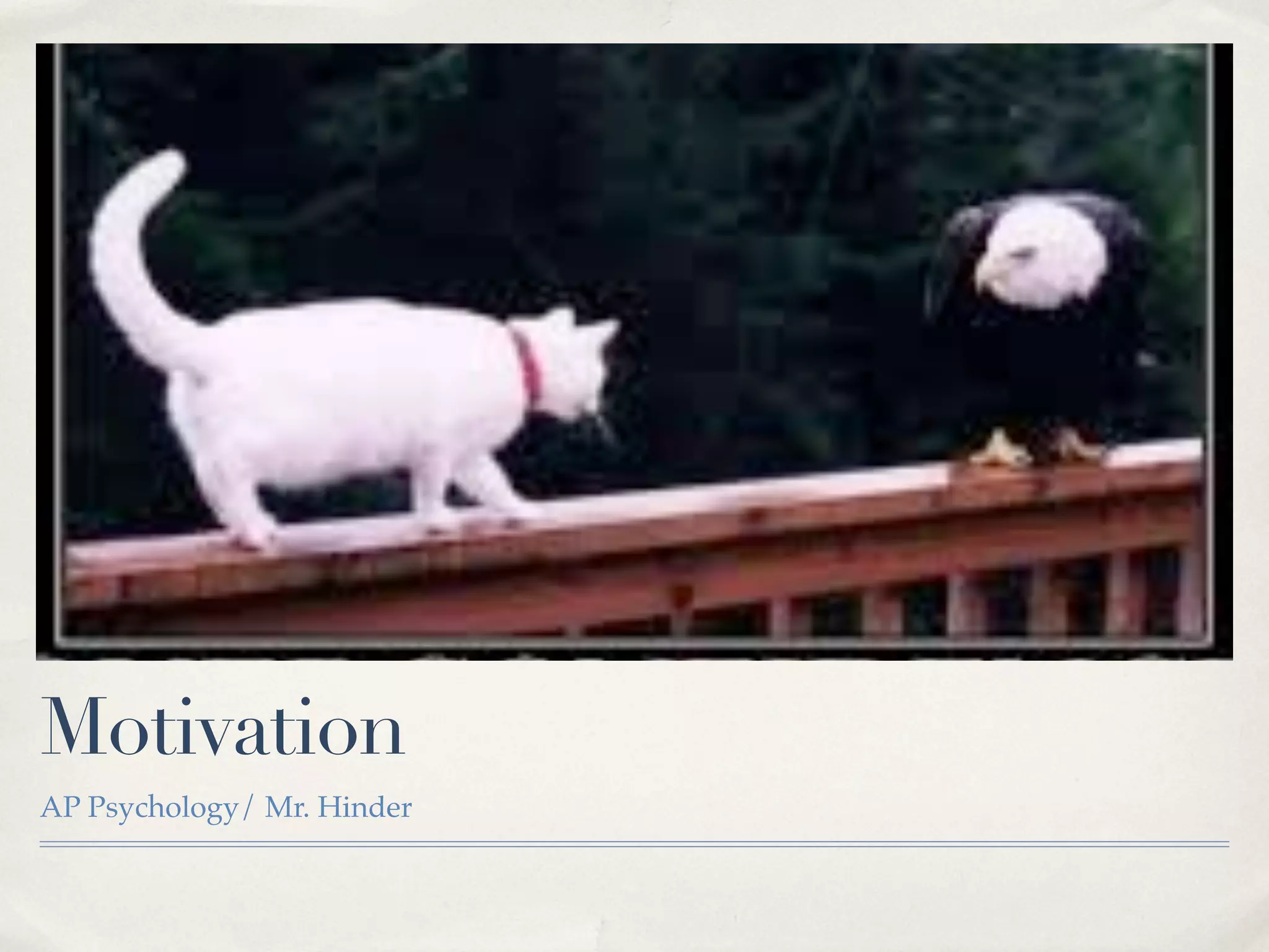 Ap psych motivation | PPT