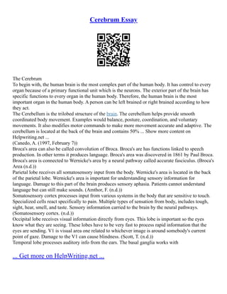 Ap Psychology Case Study | PDF