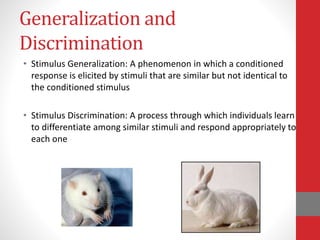 Appsychologylearningpowerpoint 151116172016-lva1-app6892 | PPTX