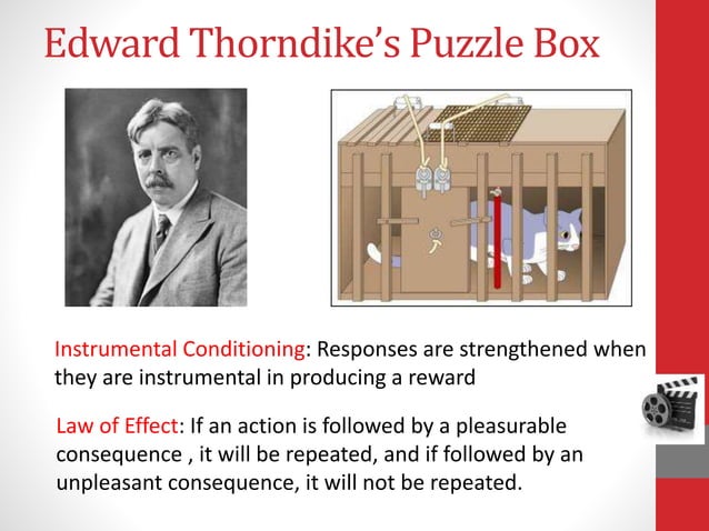 Ap psychology learning power point | PPTX