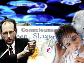 Sleep AP Psych | PPTX