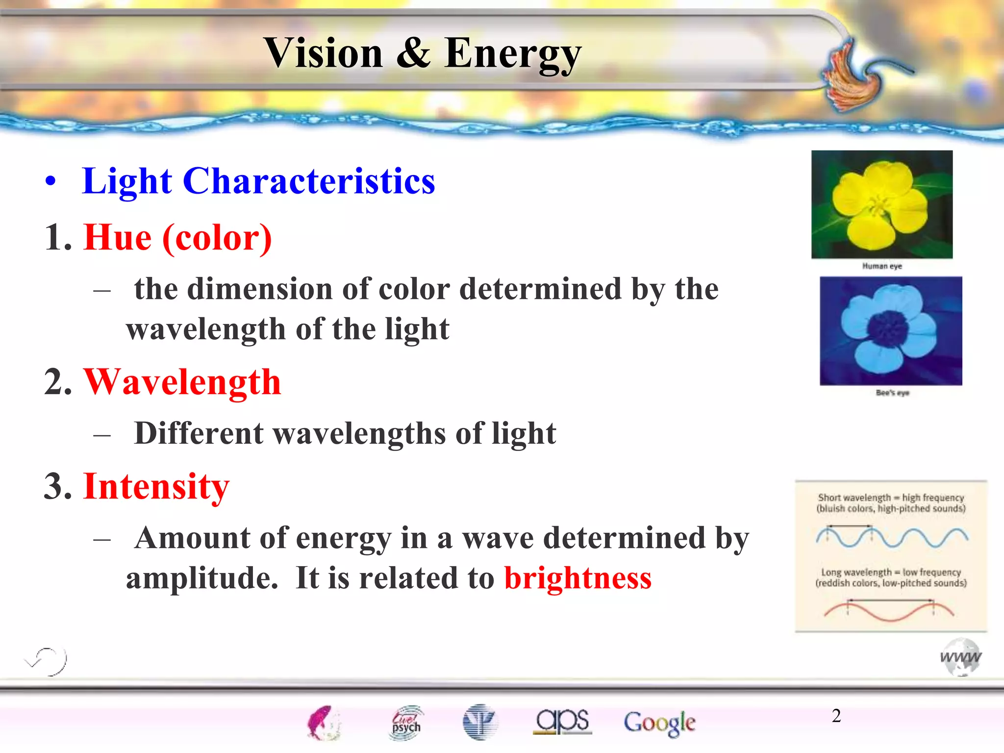Ap Psych Vision Part 1 | PPTX
