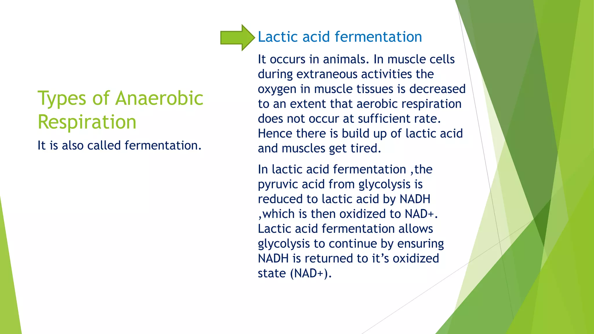 A ppt on Anaerobic respiration by shubham mishra | PPTX