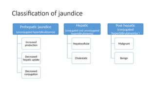 Approach To Jaundice powerpoint presentation.pptx