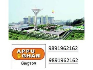 9891962162)) appu ghar food court 66 lacs sector-29 gurgaon | PPTX