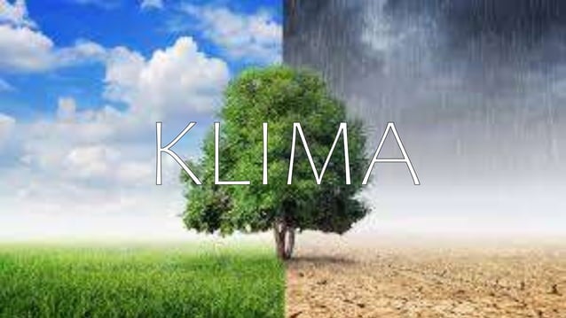 AP Q2 W2.pptx powerpoint presentation for grade 3 quarter 2 week 1 | PPTX