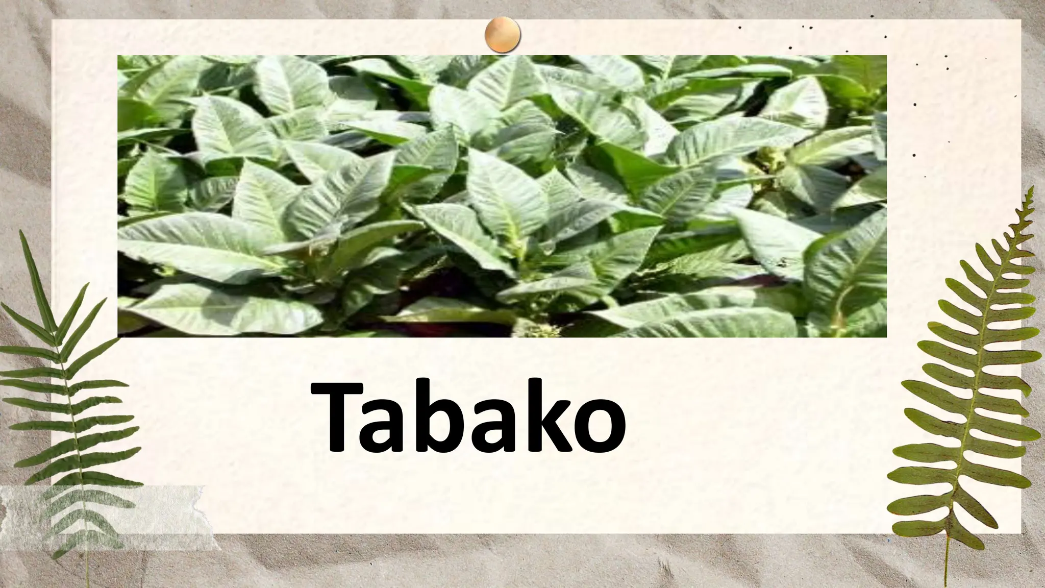 AP Q4 Week 1 ppt.pptx- Salik sa Pagusbong ng Nasyonalismo- Monopolyo ng ...