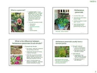 Perfect Perennials - Notes | PDF
