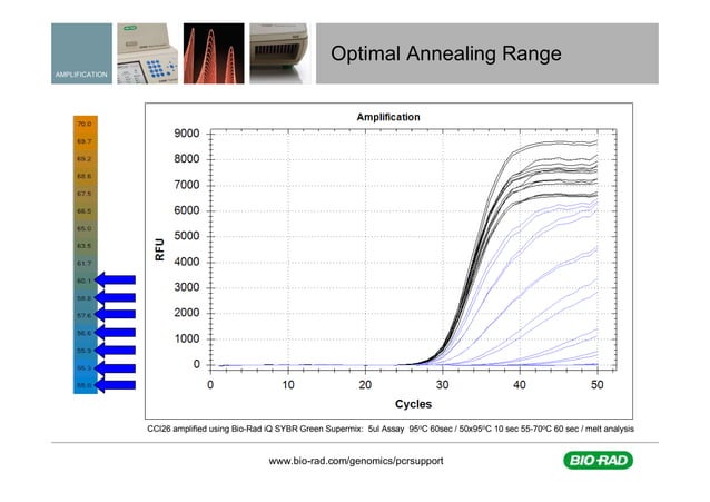 A practical approach to assay design for qPCR | PDF | Chemistry | Science