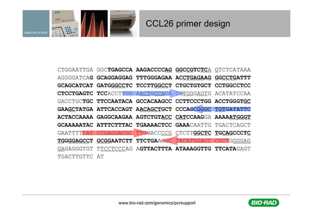 A practical approach to assay design for qPCR | PDF | Chemistry | Science