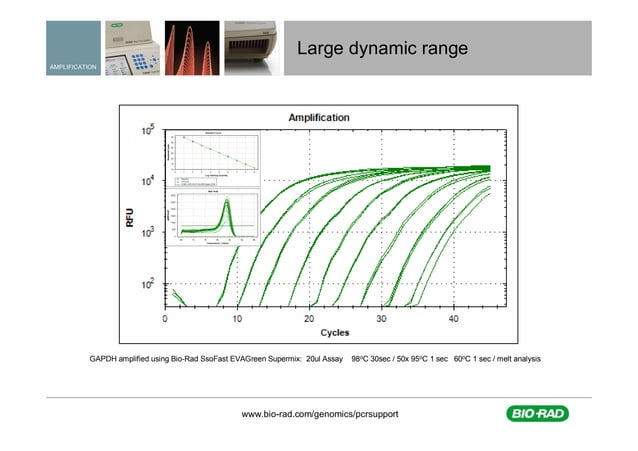 A practical approach to assay design for qPCR | PDF | Chemistry | Science