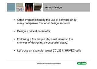 A practical approach to assay design for qPCR | PDF