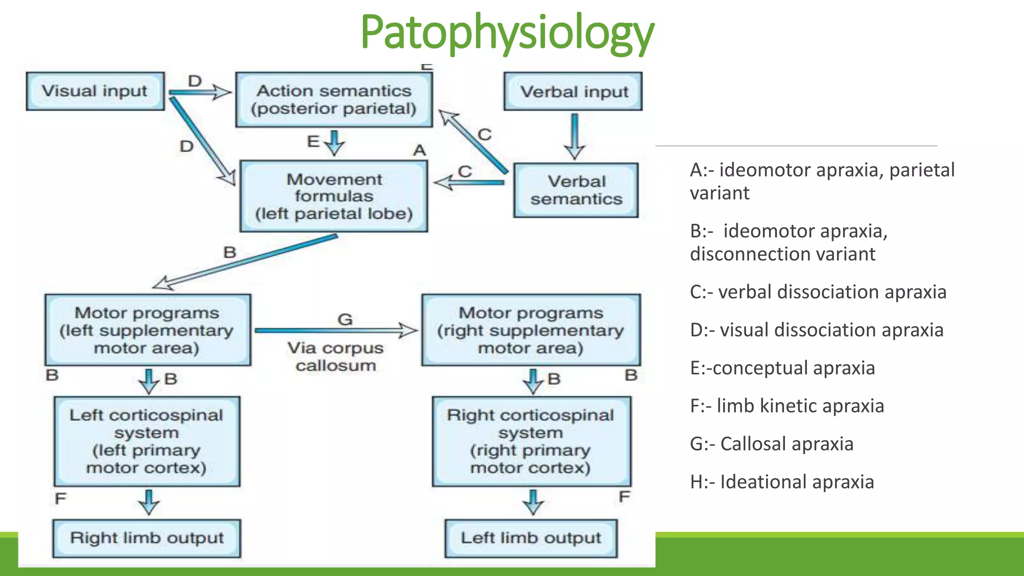 Apraxia examination and evaluation | PPTX