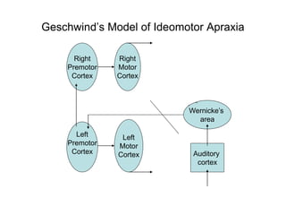 APRAXIA.ppt | Physical Therapy | Wellness