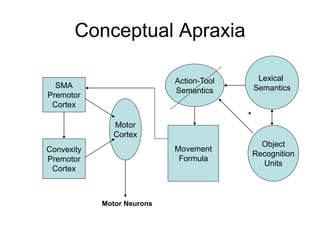 APRAXIA.ppt