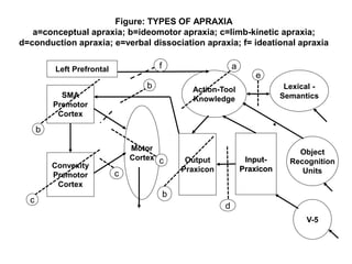 APRAXIA.ppt