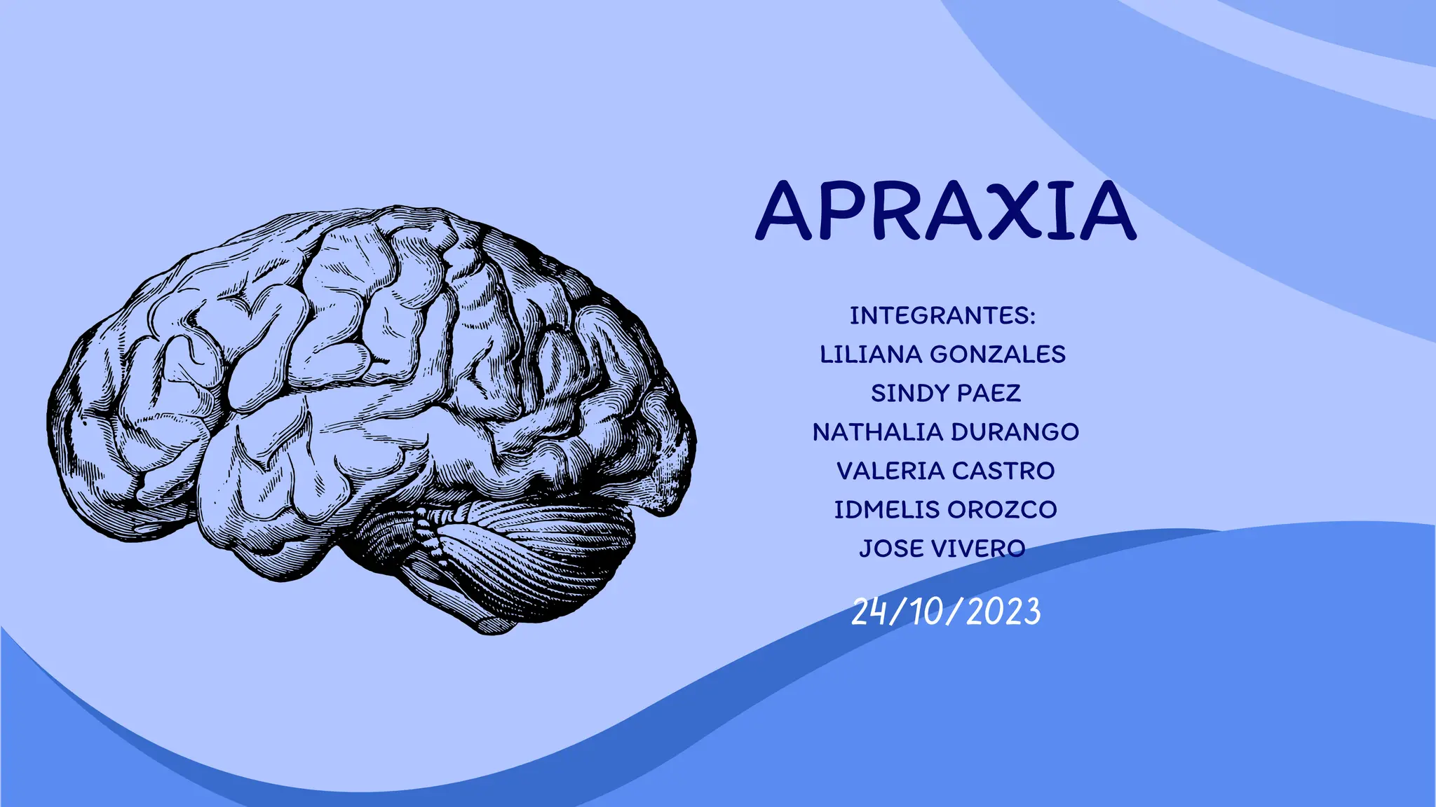 Infografia de los tipos de apraxiaaaaaaa | PDF
