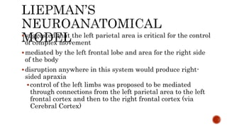 Apraxia and Other Types (Neuropsychology) | PPTX