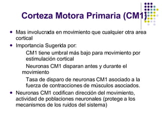 Apraxias | PPT