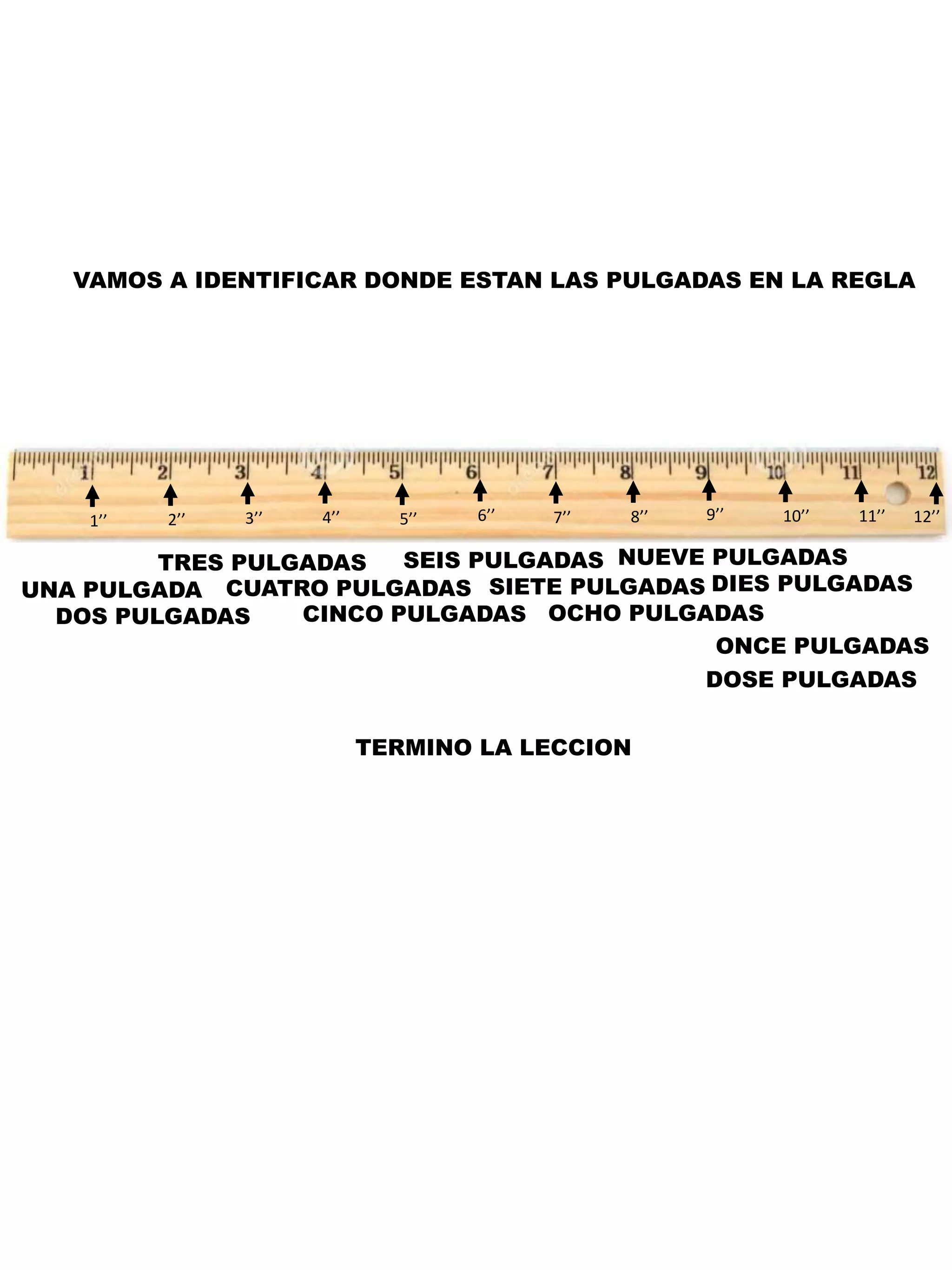 Aprenda a utilizar la regla | PDF