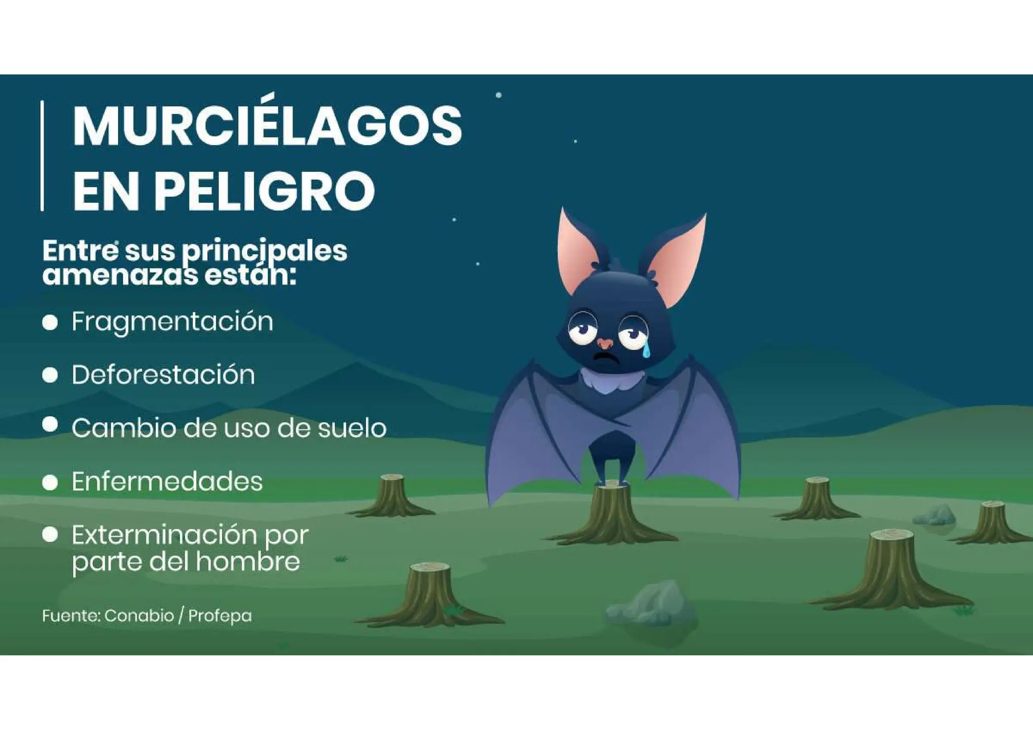 APRENDEMOS SOBRE LOS MURCIÉLAGOS.pdf