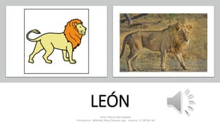 vocabulario de los animales en pdf para descargar | PDF