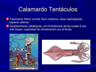 Aprendiendo zoologia-con-bob-esponja | PPT