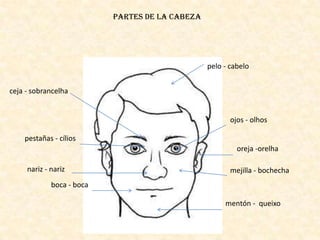 Aprendiendo sobre el cuerpo humano | PPTX