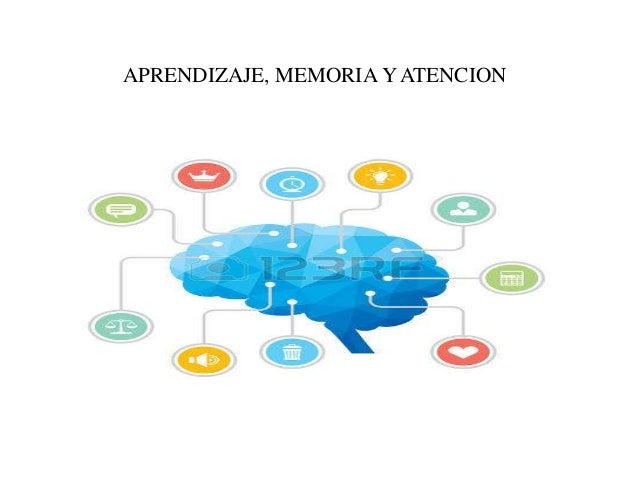 Aprendizaje, memoria, atencion