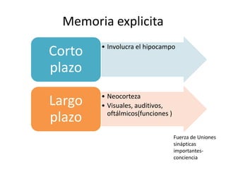 Aprendizaje, memoria, lenguaje y habla. | PPTX