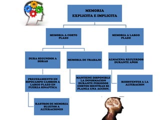 Aprendizaje, memoria, lenguaje y habla. | PPTX