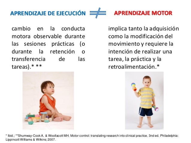 Tema 8 El Aprendizaje Motor Principales Modelos Explicativos Del Images Tema 8 El Aprendizaje Motor Principales Modelos Explicativos Del Images