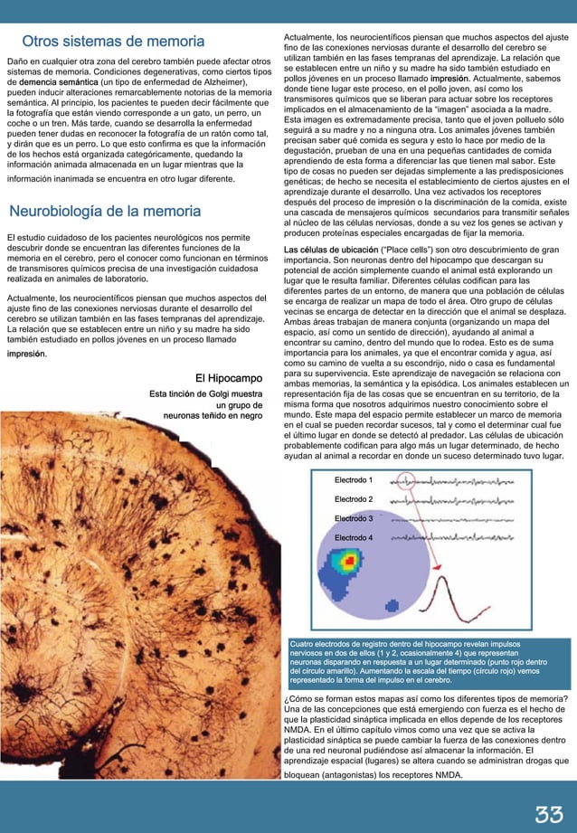 Aprendizaje Y Memoria Pdf
