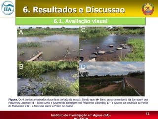 Macroinvertebrados Aquáticos como Bioindicadores da Avaliação da ...