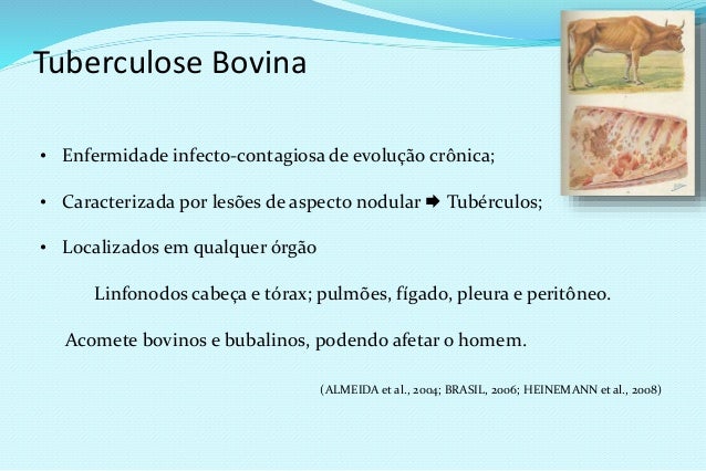 Apresentaçao XI encontro Med Vet UESC Tuberculose Bovina