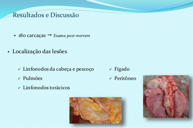 Apresentaçao XI encontro Med Vet UESC Tuberculose Bovina