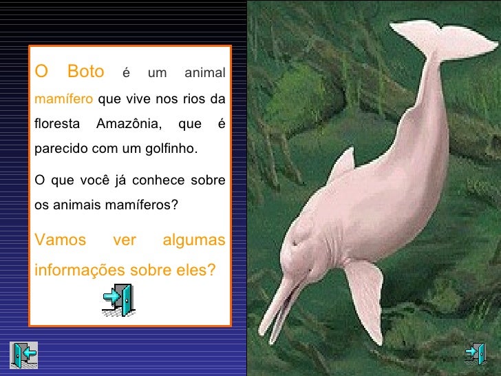 FOLCLORE:LENDA DO BOTO