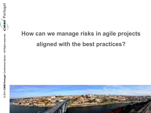 Agile Risk Management | PDF | Business | Business and Finance